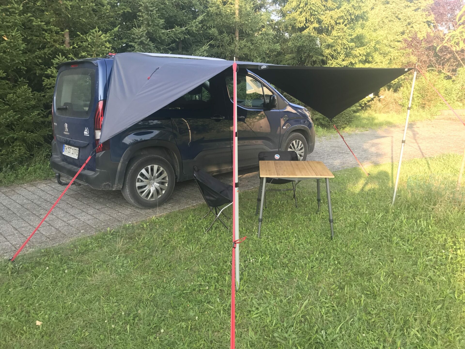 Qeedo Motor Tarpnull